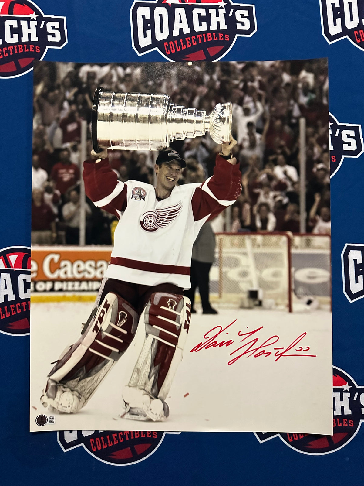Dominik Hasek Autographed 16x20 Detroit Red Wings Photo (Beckett ...